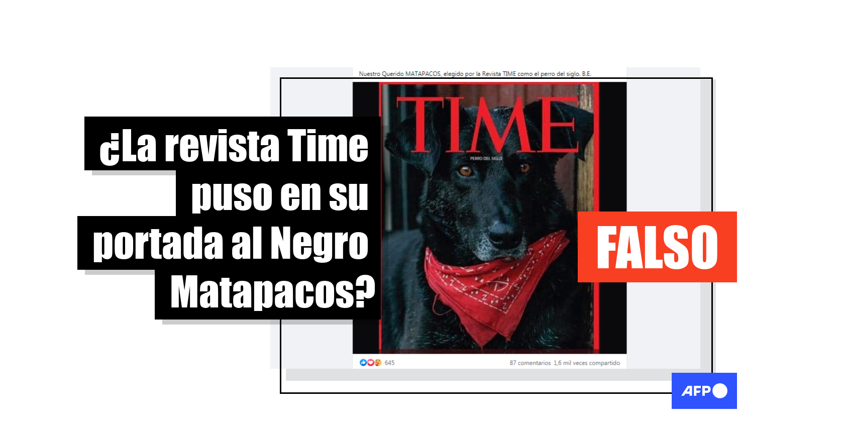 El “Negro Matapacos”, perro símbolo de las protestas en Chile, no fue ...