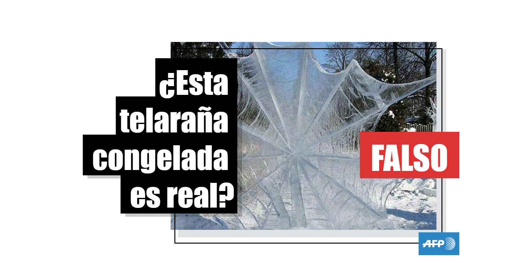 No, no es una verdadera telaraña congelada | Factual