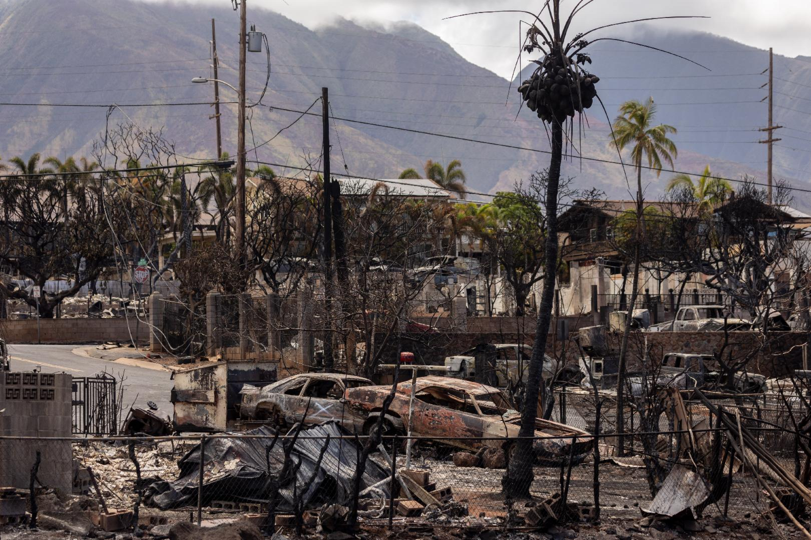 Objetos azules intactos en Hawái no prueban que los incendios fueran ...