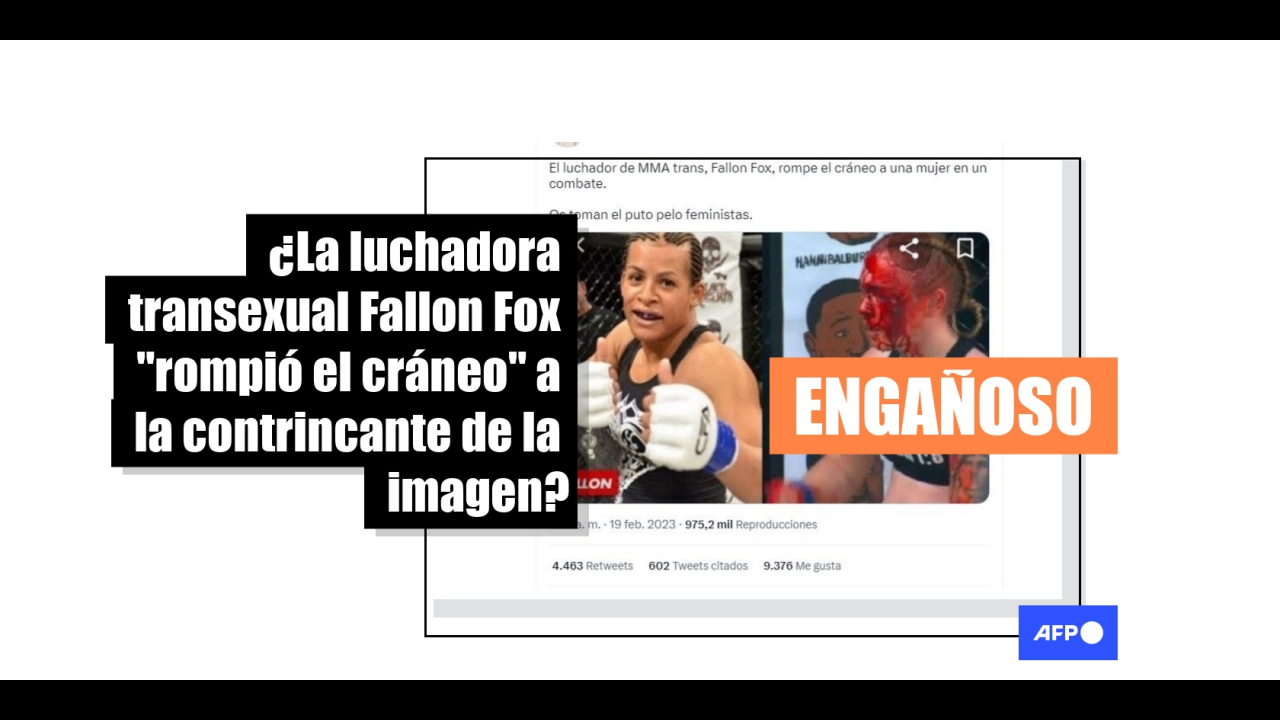 Las luchadoras de la imagen viral, Fallon Fox y Kay Hansen, nunca se ...