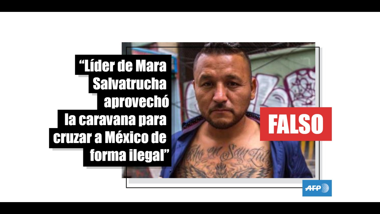 Mara Salvateucha Memes
